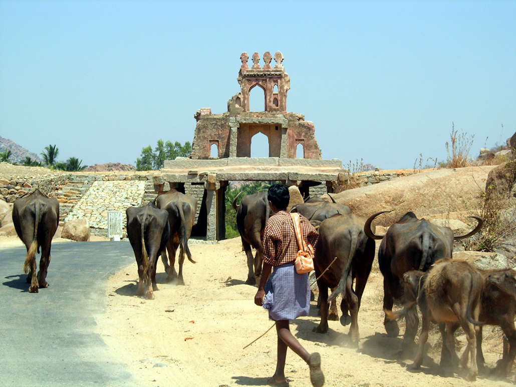 Livestock Productivity and Livelihoods in Developing Countries • BEAR